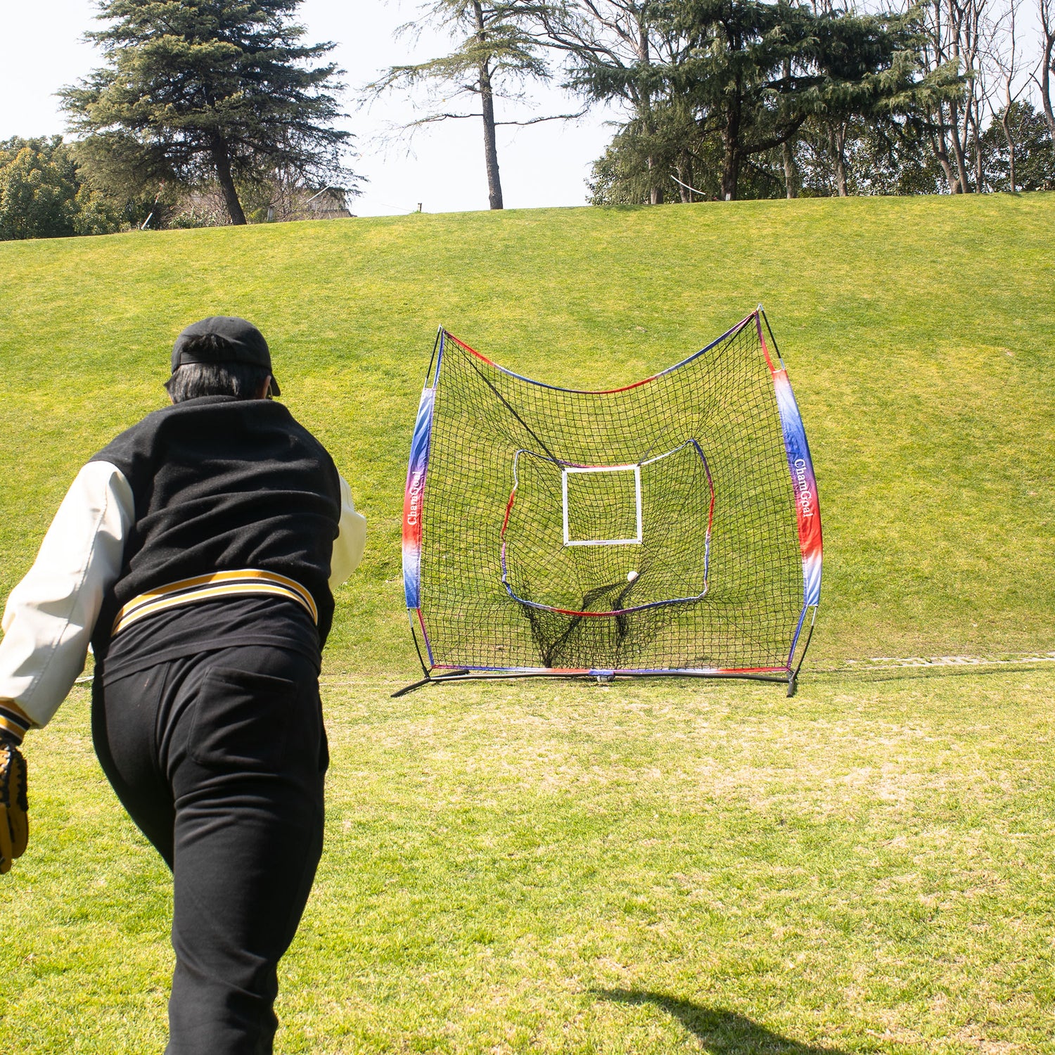 Adjustable Strike Zone Pitching Target for Baseball Net, 2 Pack – Chamgoal